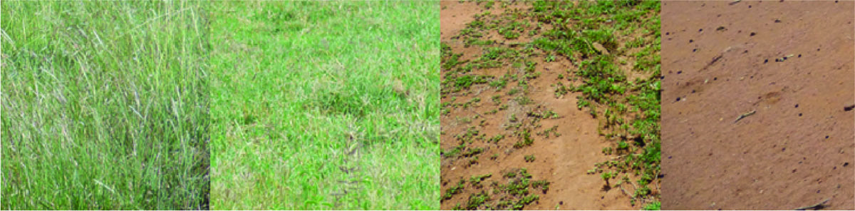 You call it "overgrazed”, I call it "grazed": Who is right?