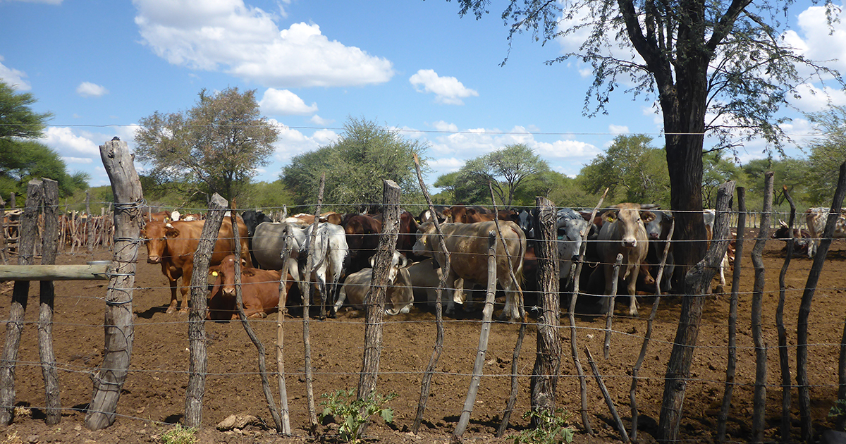 A smell a day keeps predators at bay