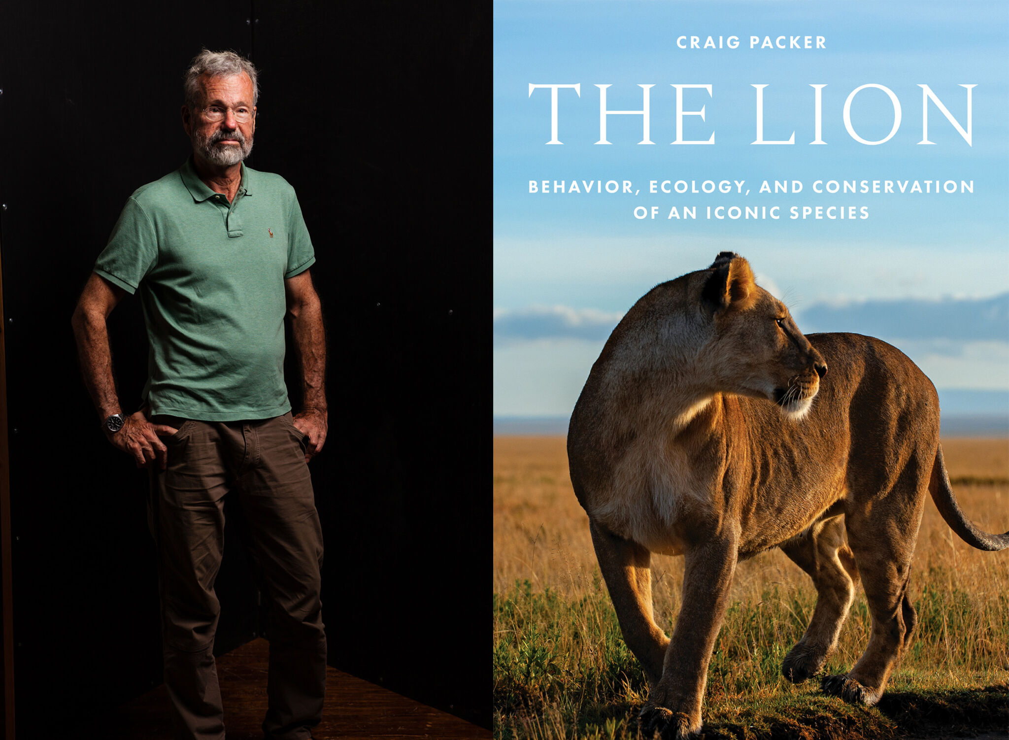 Lions and rural communities in a life-or-death battle for survival