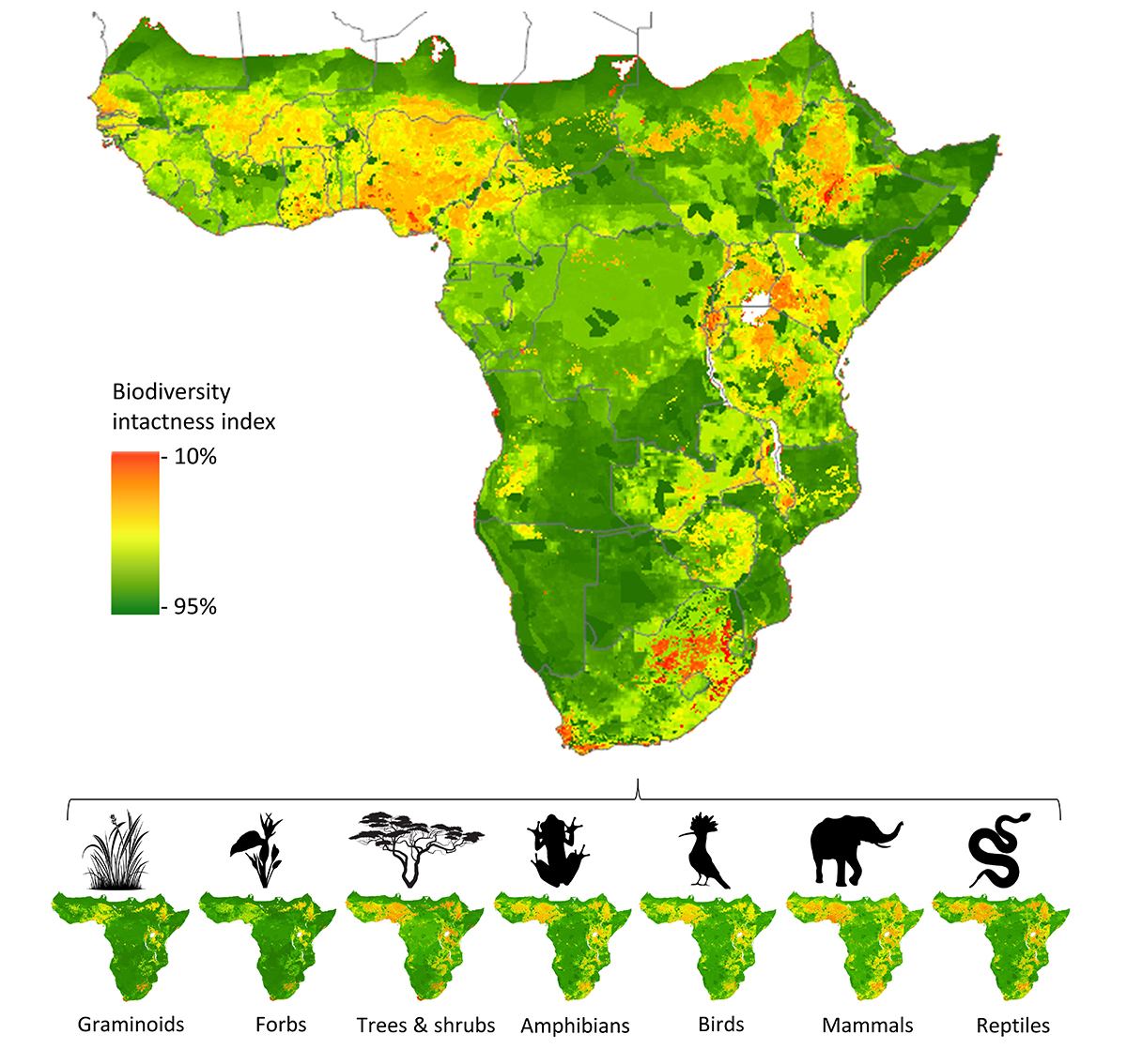 Africa is greener than you think…