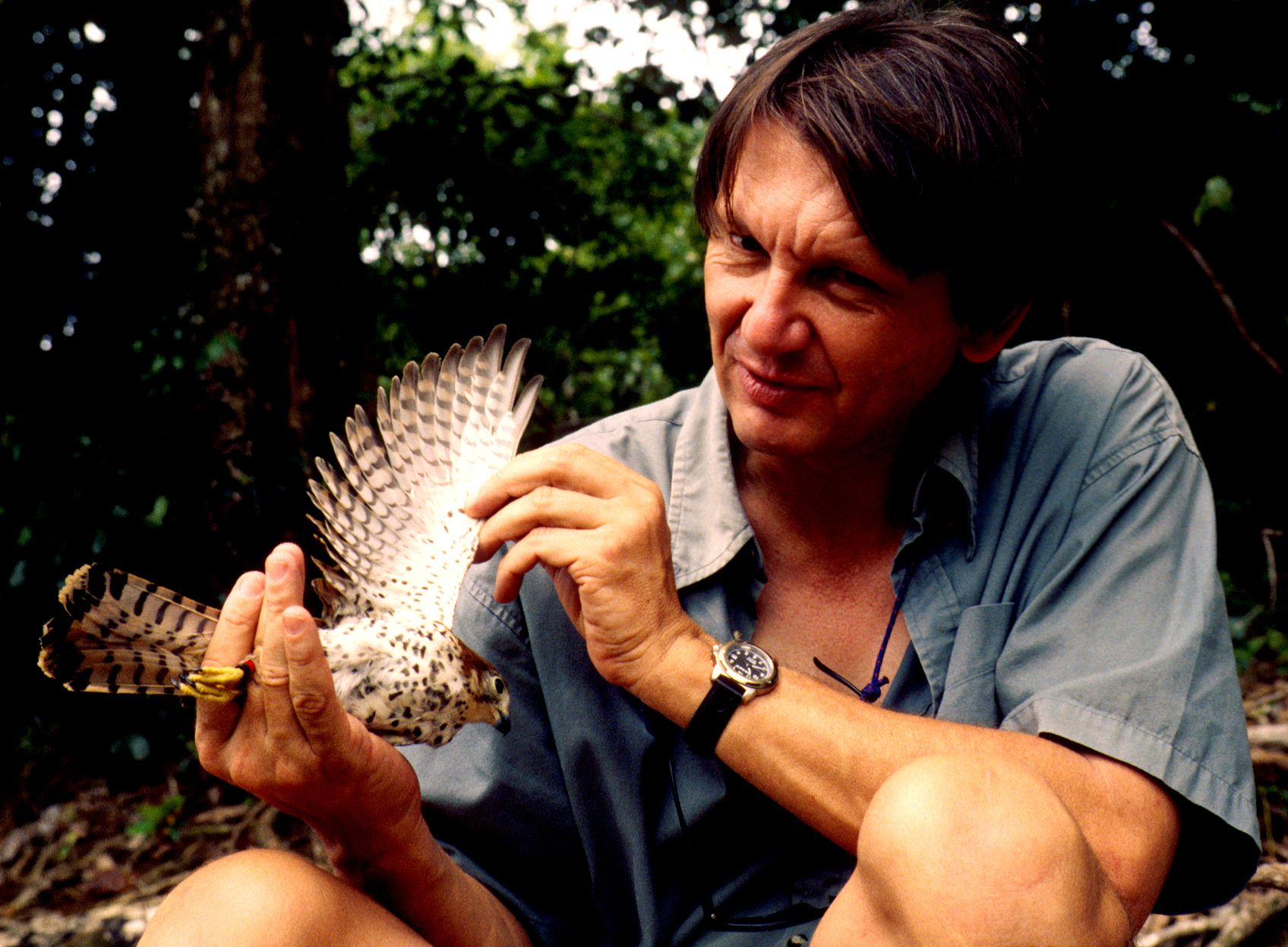 All species can be saved