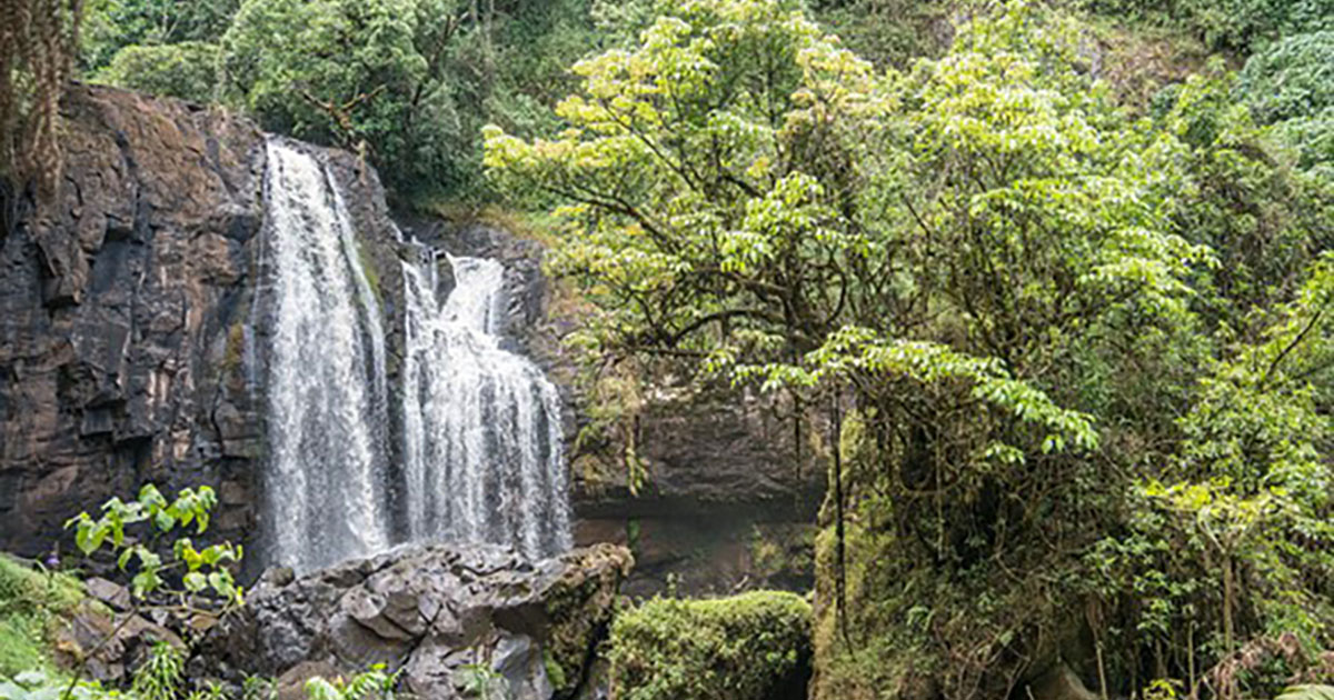 Provincial parks in crisis will benefit from building diverse ...