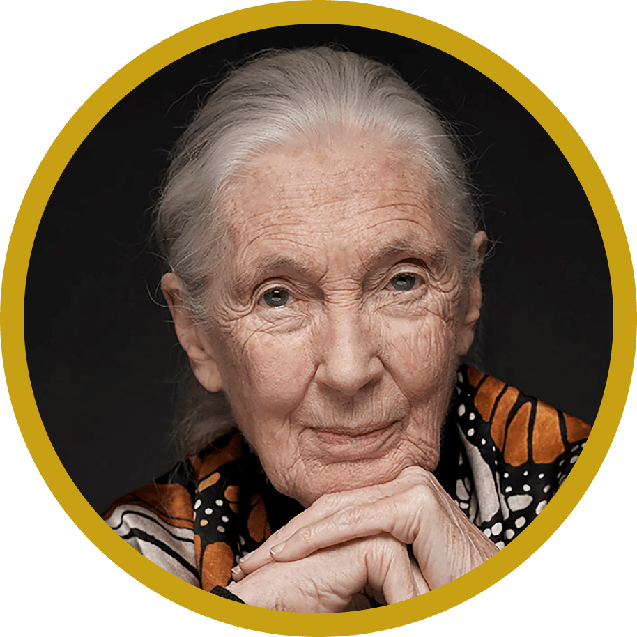 12th oppenheimer research Conference - Research and Conservation