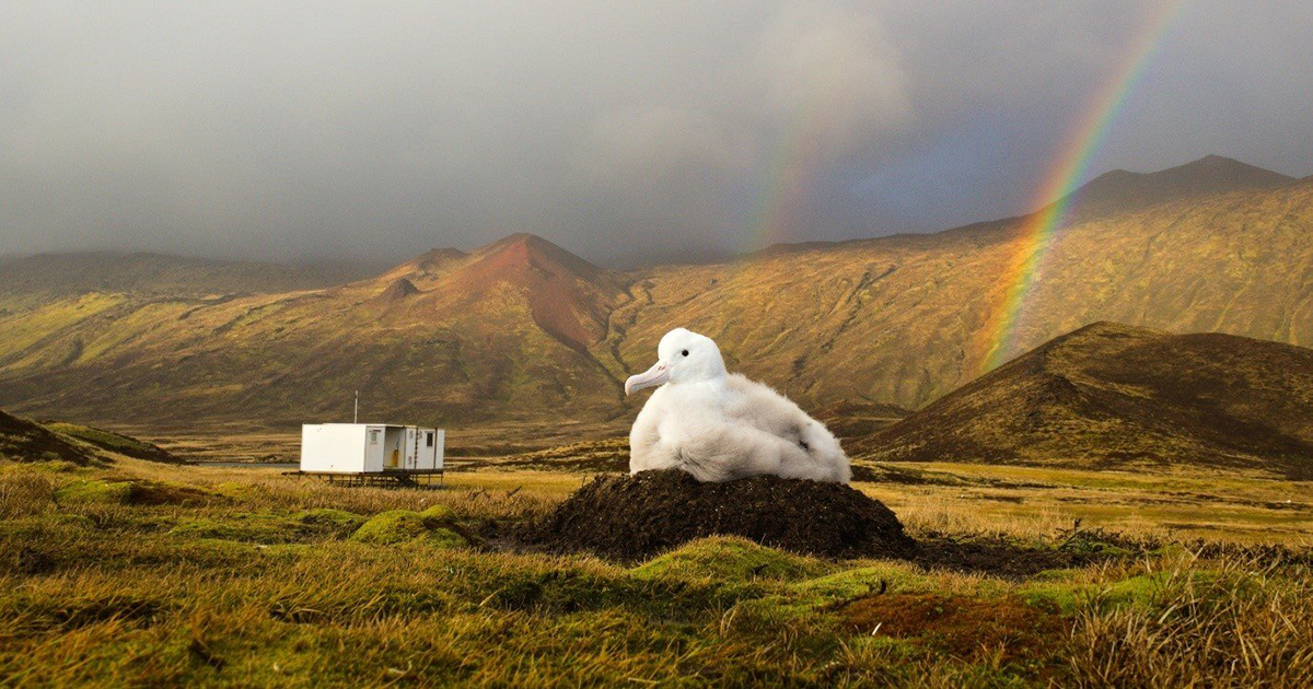 A deeper, grassroots approach to conservation – and solid science ...