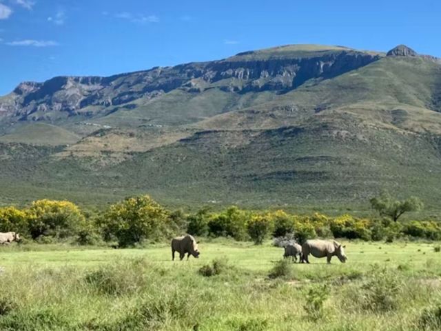 Wildlife management and its importance in South Africa - Research and ...