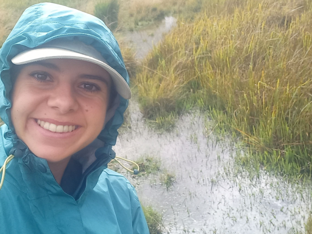 Wildlife management and its importance in South Africa - Research and ...