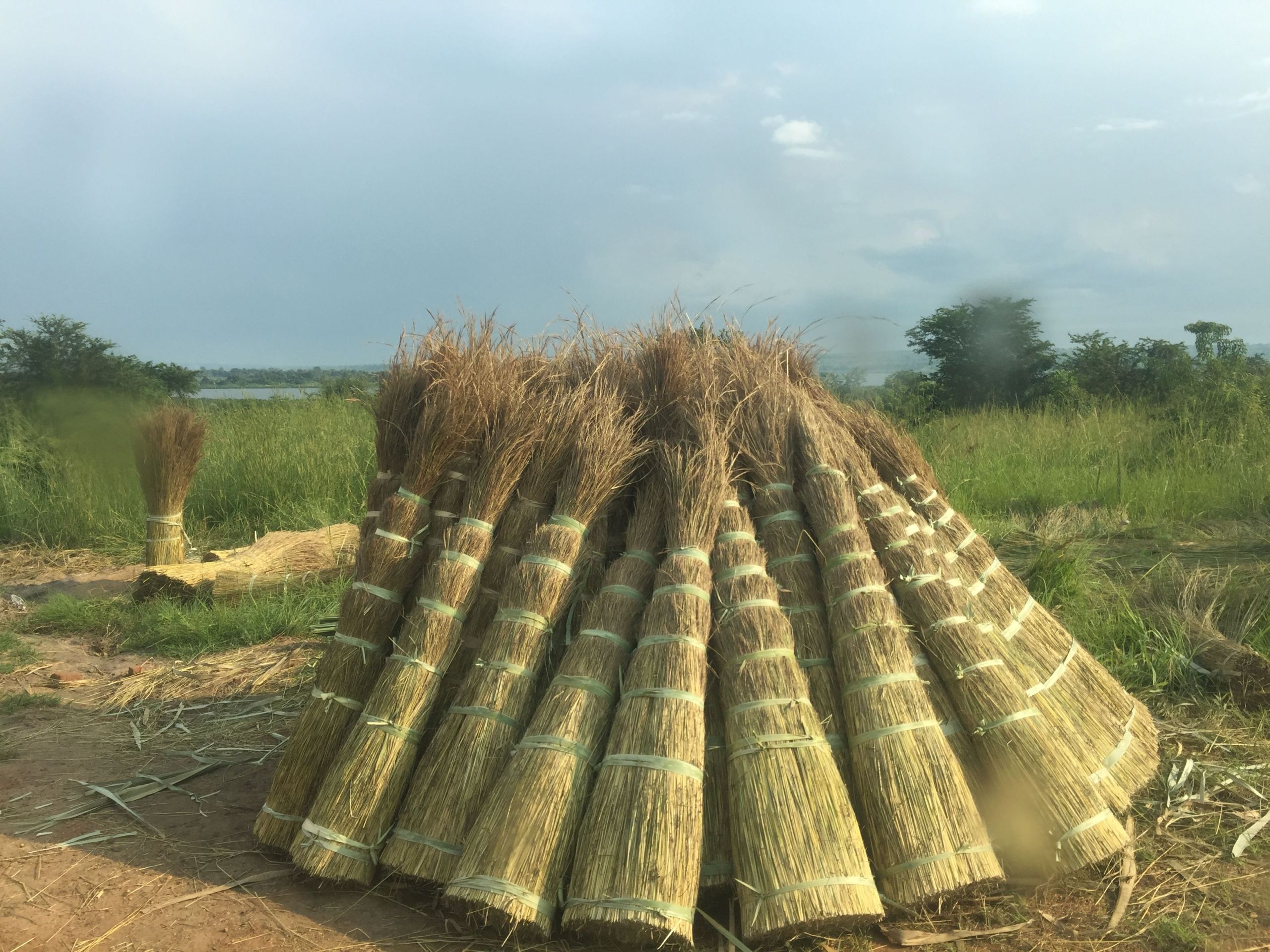 Unlocking Africa’s wildlife economies