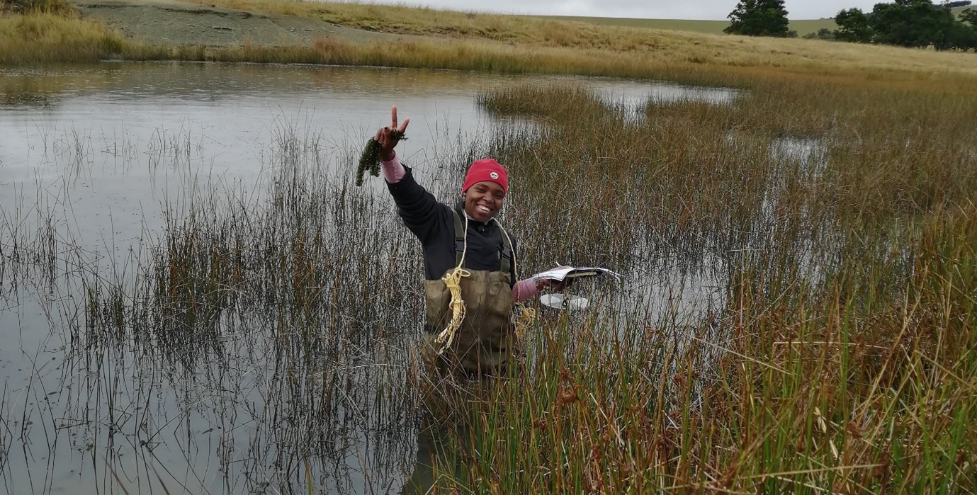 From ponds to power plays: South African scientist tackles invasive ...